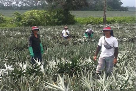 Valuing the Workforce to Improve Performance